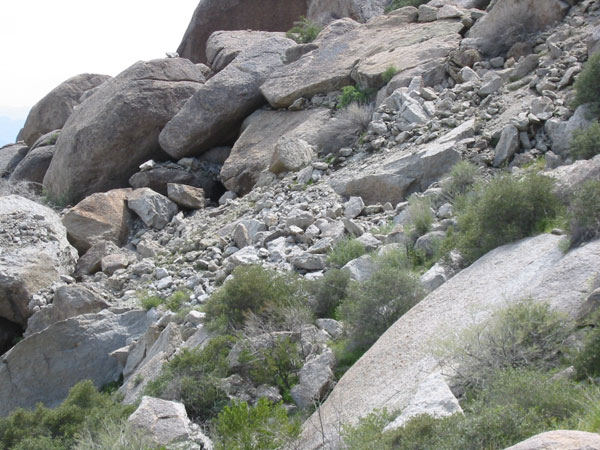 Recent Talus